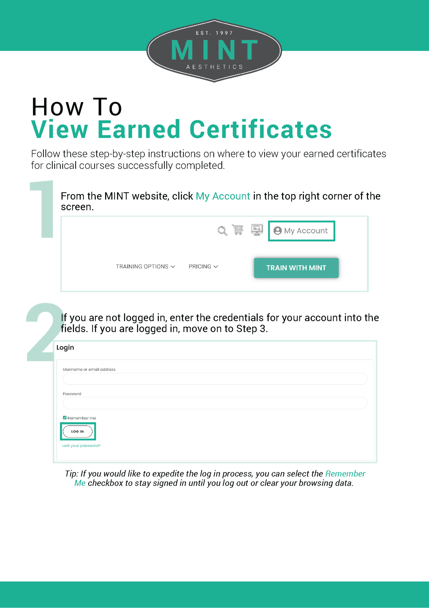 Start Your Online Learning Path with MINT Aesthetics eCourse